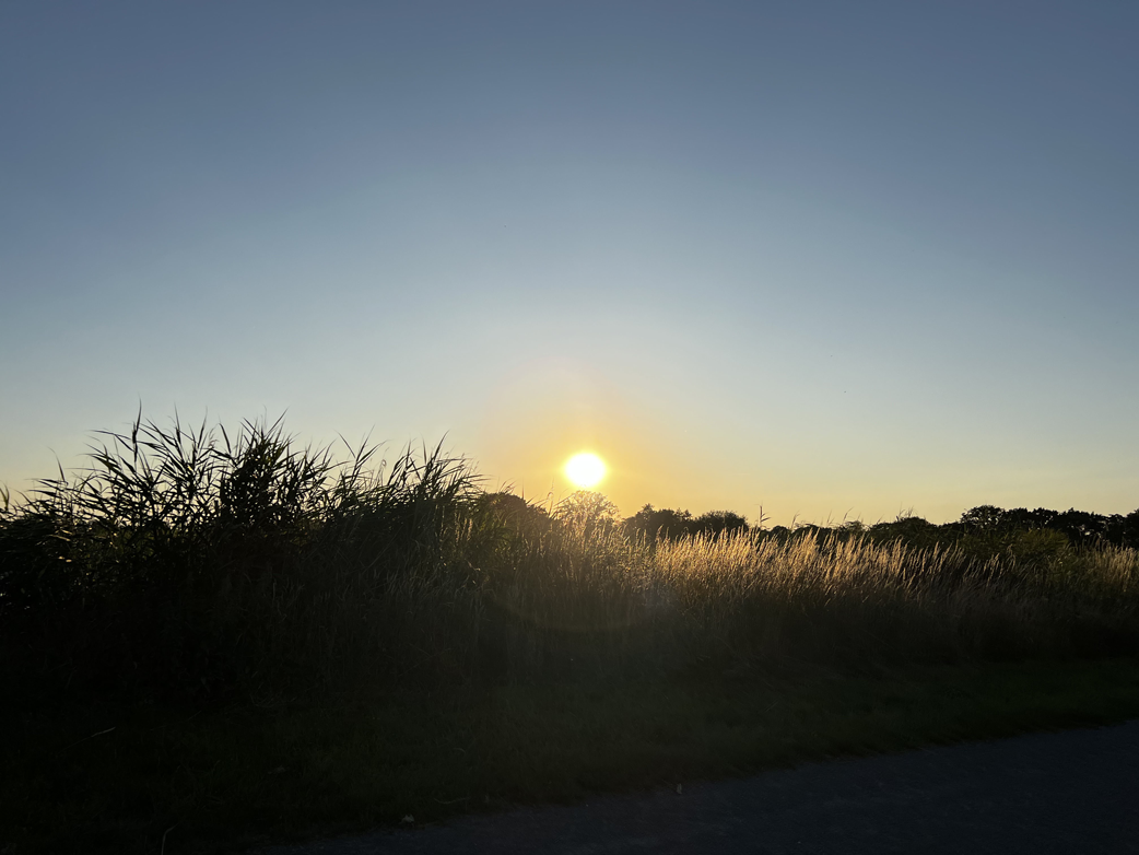 The European Winter Retreats Program 2026 - Kwan Um School Of Zen Europe